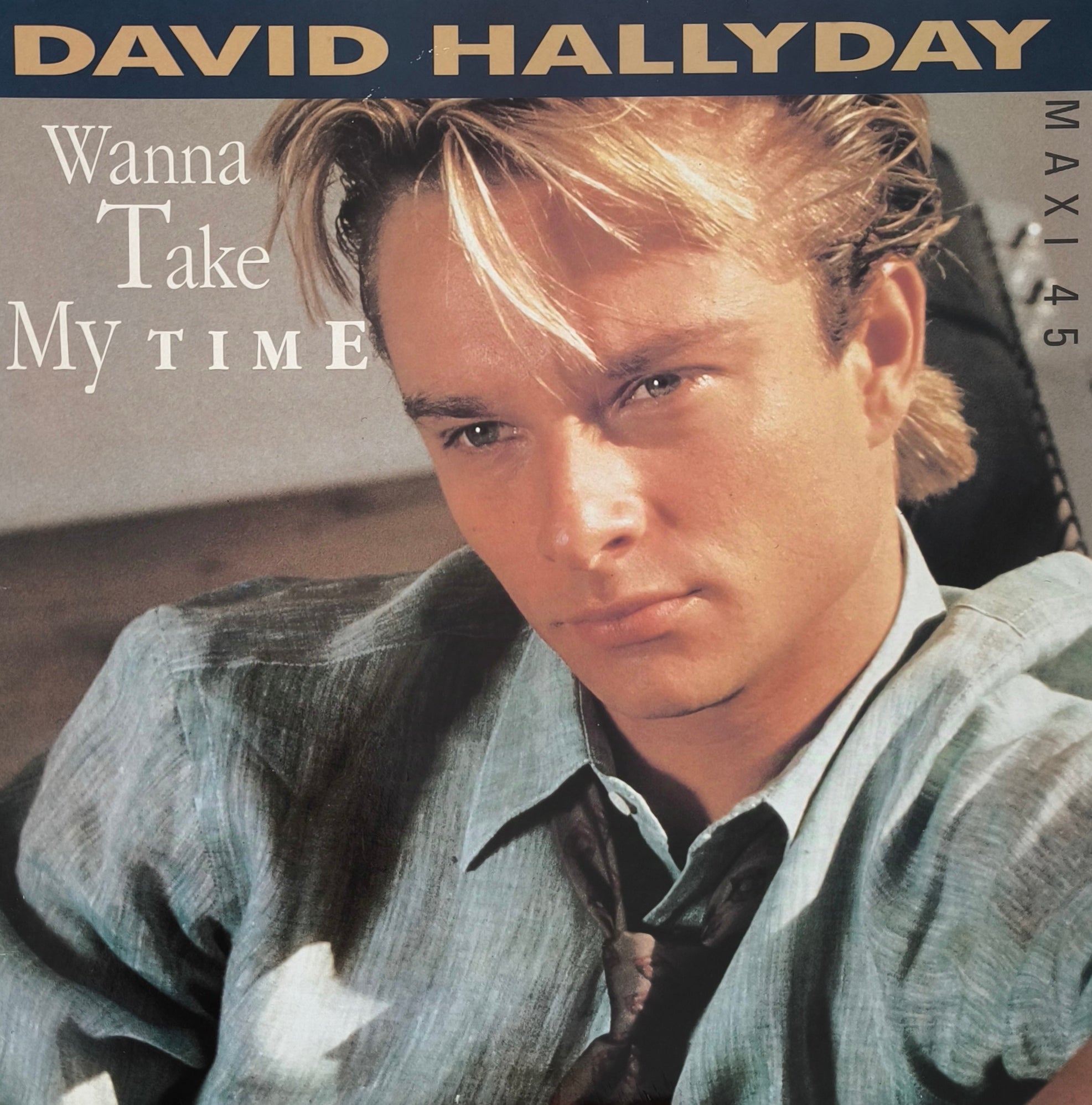 Disque Vinyle Maxi 45 tours Occasion - DAVID HALLYDAY - Wanna Take My ...