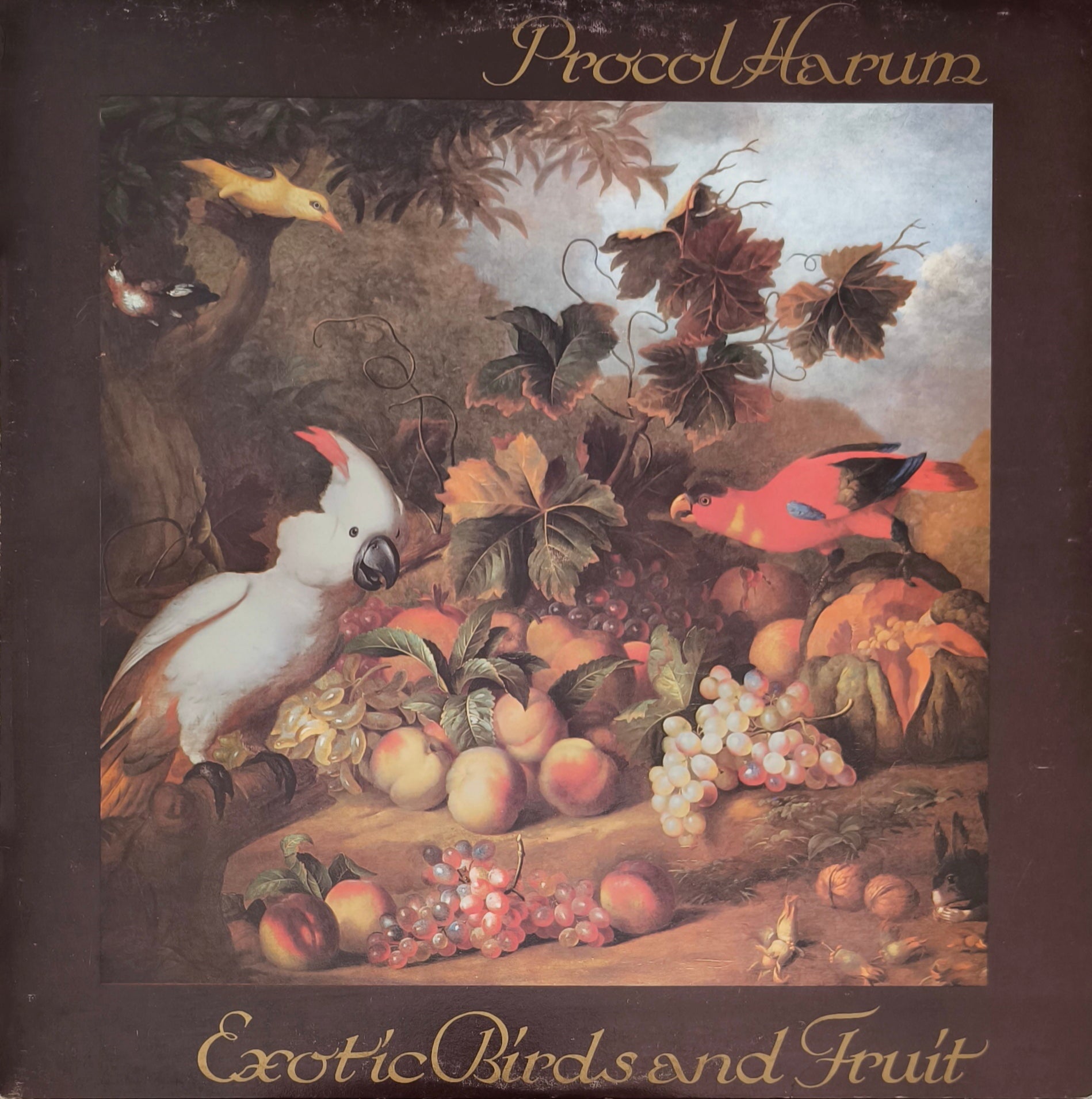 Disque Vinyle 33 tours Occasion - PROCOL HARUM - Exotic Birds And Fruit ...
