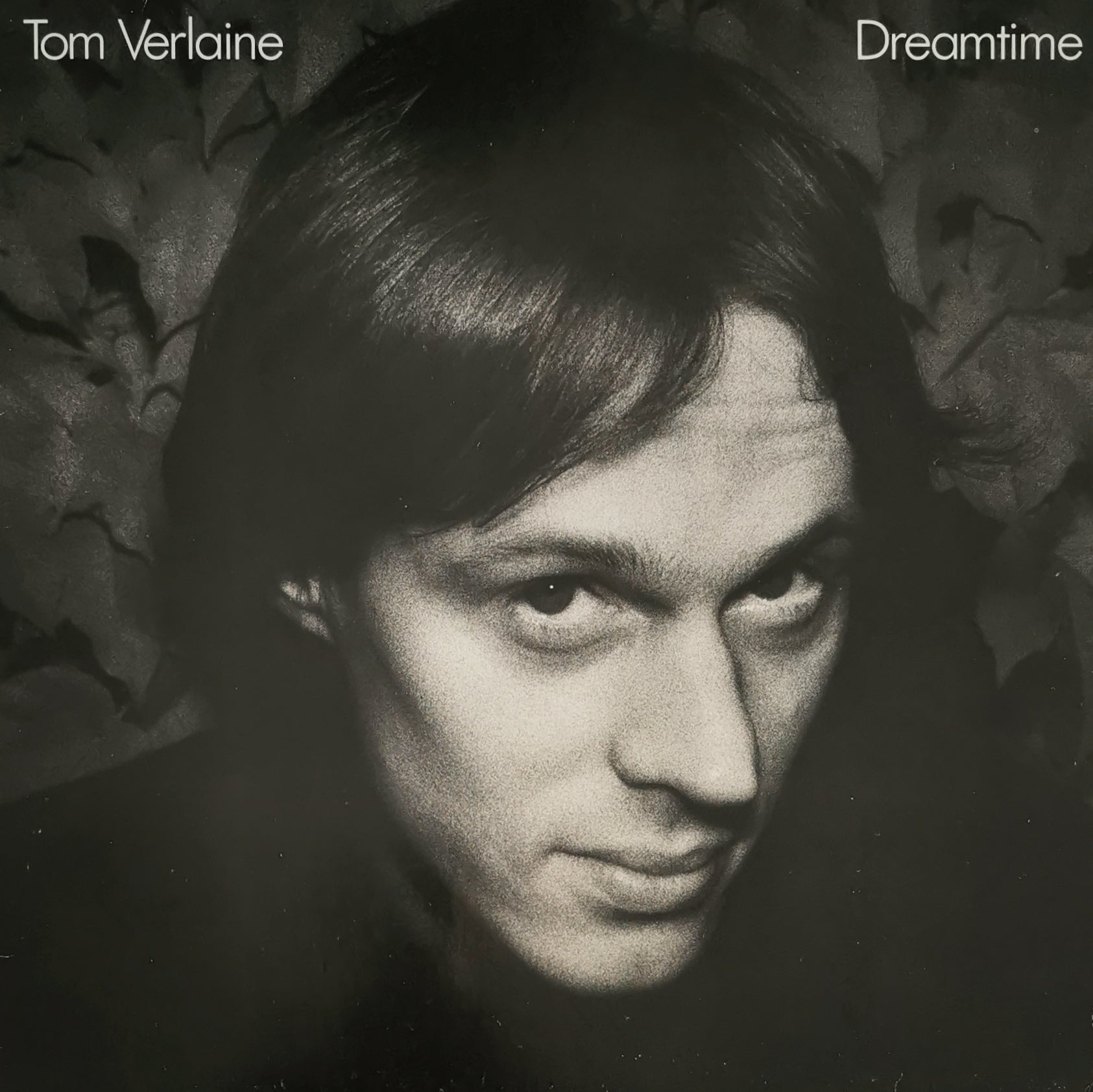 Disque Vinyle 33 tours Occasion - TOM VERLAINE - Dreamtime – digg'O'vinyl